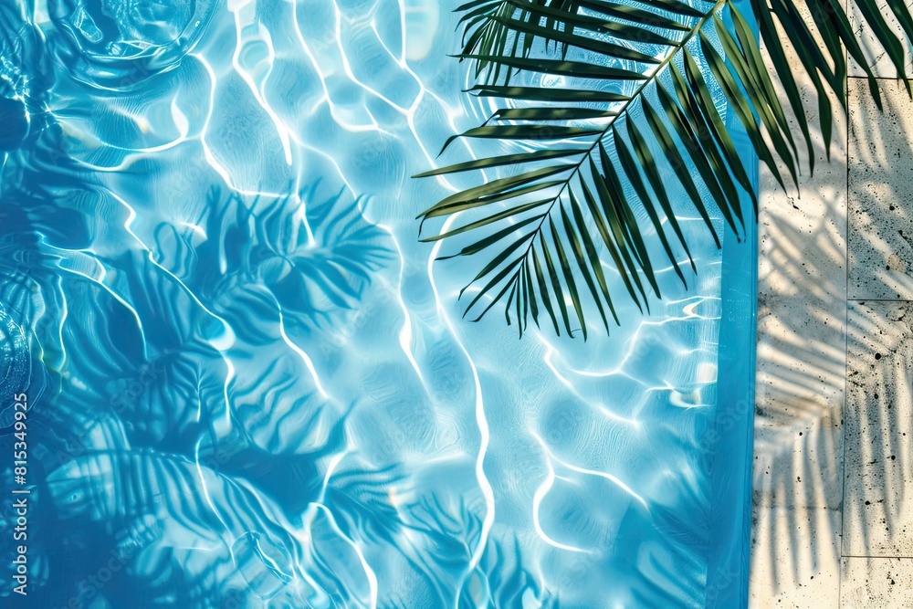 Swimming pool top view background. Water ring and palm shadow on ...