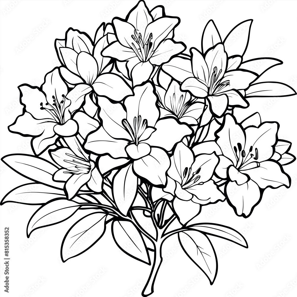 Azalea flower outline illustration coloring book page design, Azalea ...