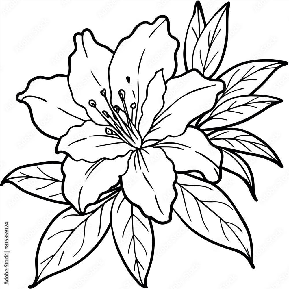 Azalea flower outline illustration coloring book page design, Azalea ...