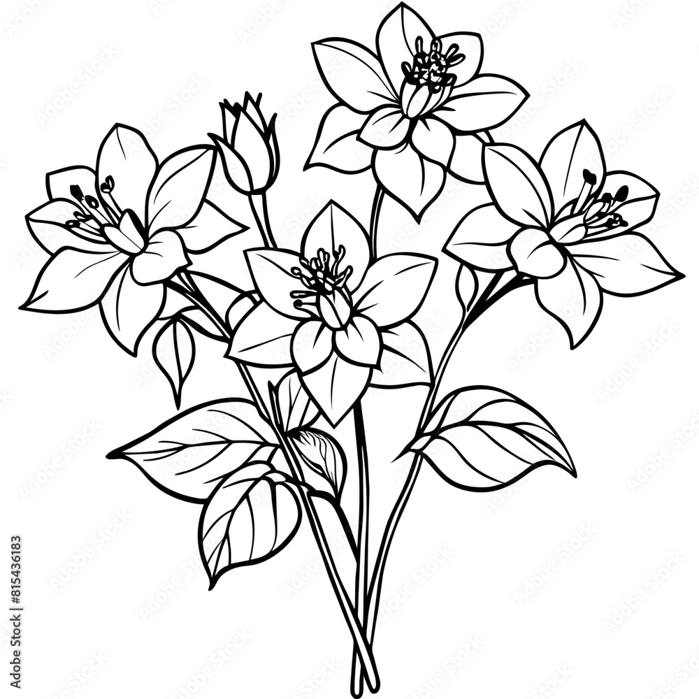 Columbine flower outline illustration coloring book page design ...