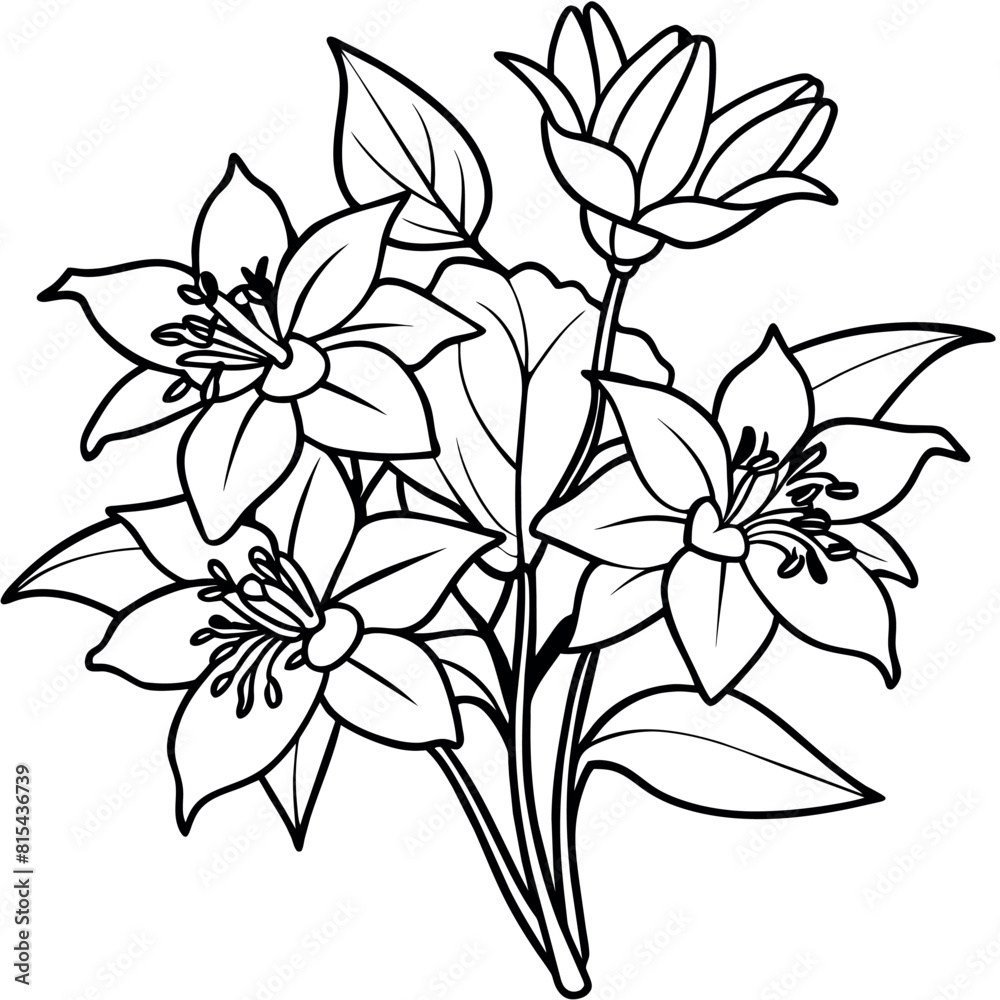 Columbine flower outline illustration coloring book page design ...