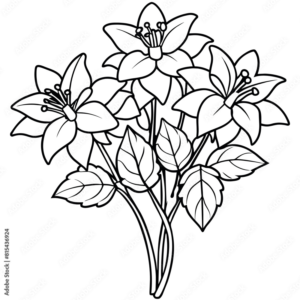 Columbine flower outline illustration coloring book page design ...