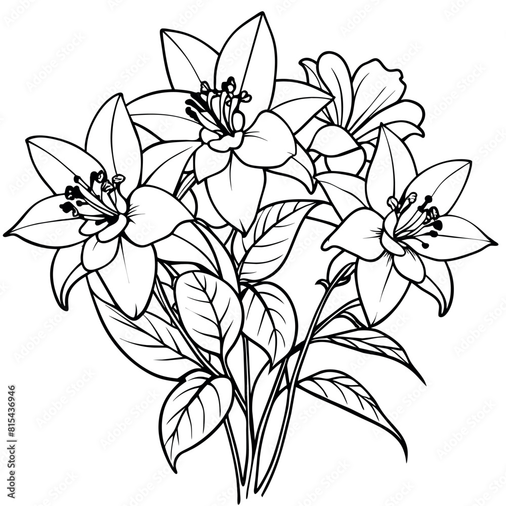 Columbine flower outline illustration coloring book page design ...