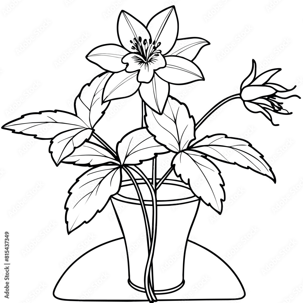Columbine flower outline illustration coloring book page design ...