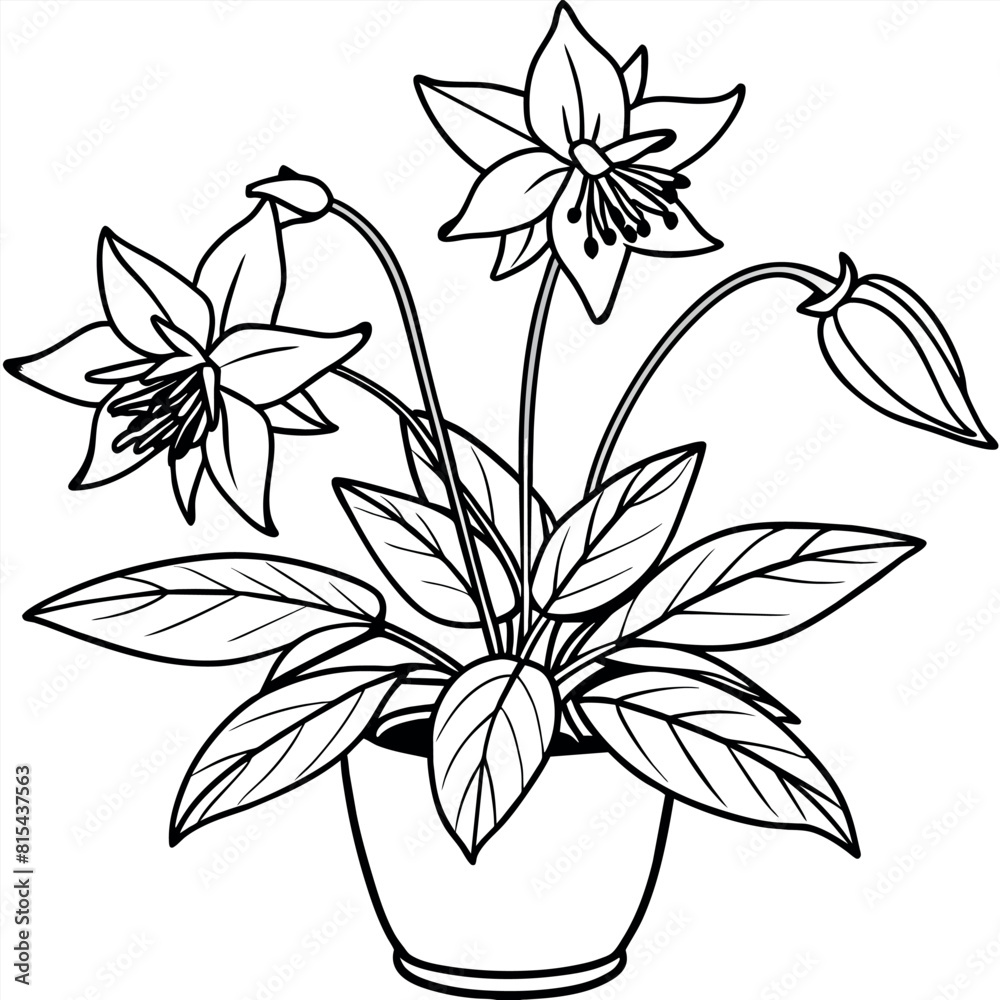 Columbine flower outline illustration coloring book page design ...