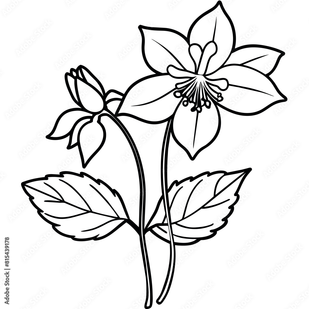 Columbine flower outline illustration coloring book page design ...