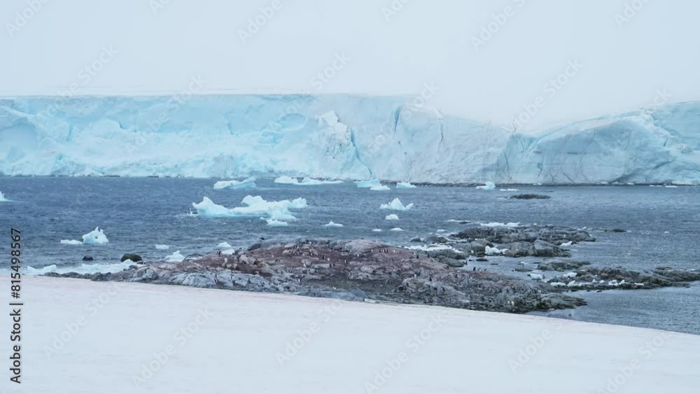 Vidéo Stock Penguin Colony in Antarctica Landscape Scenery, Gentoo ...