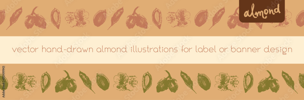 Almond frames for banner background or label template design. Organic ...
