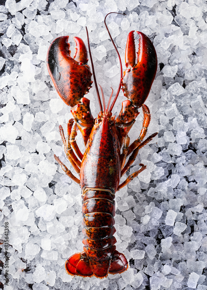 Fresh lobster shellfish are available in the seafood restaurant for ...