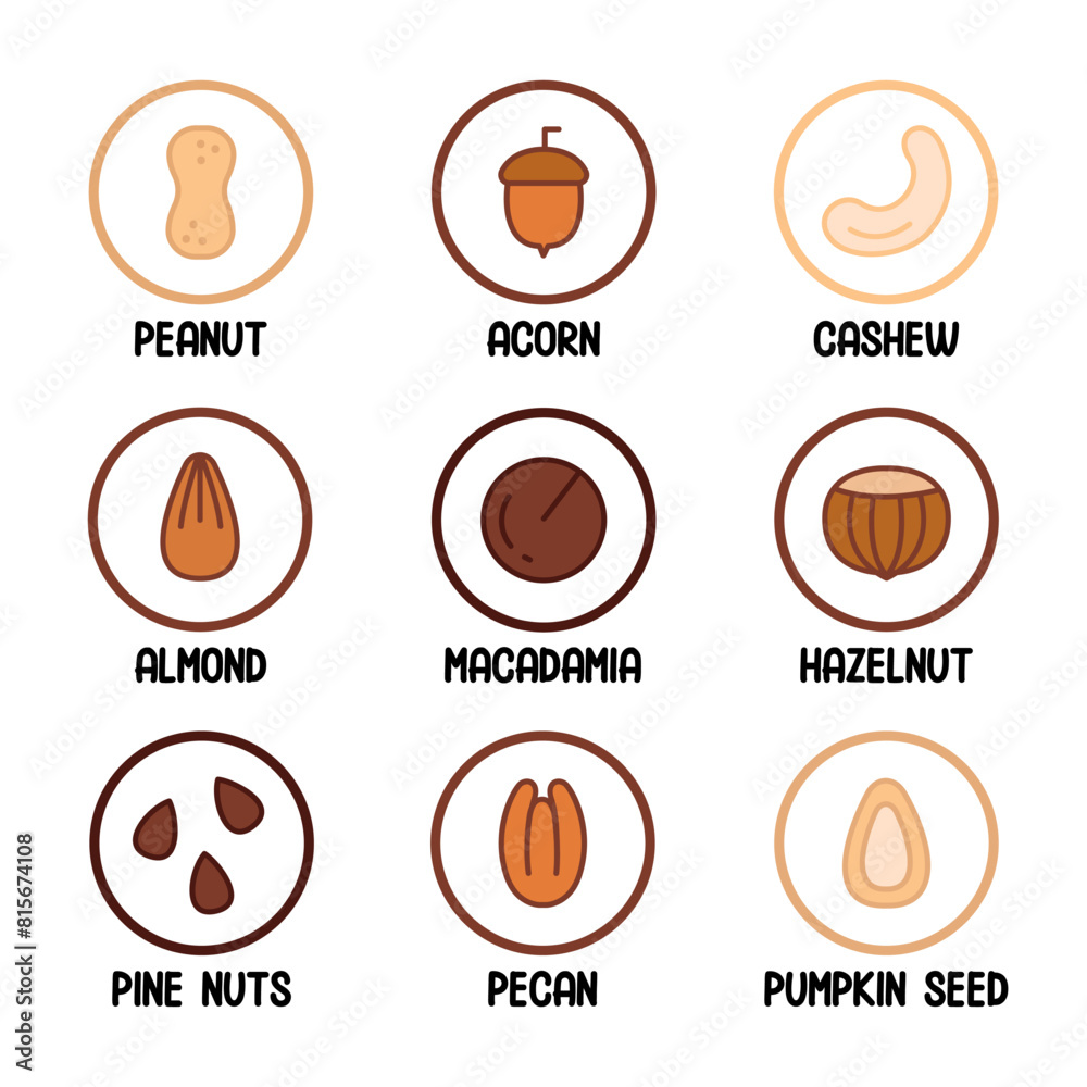 Nuts, seeds and beans vector objects set. Peanut, almond, pine nuts ...