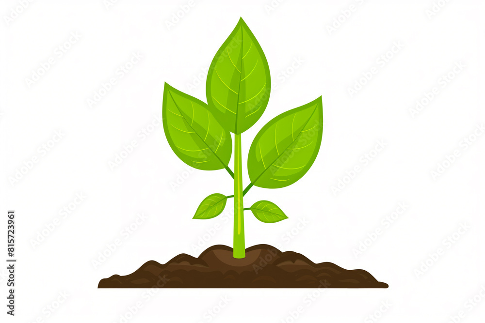 Illustration of a plant sprout with green leaves growing from the ...