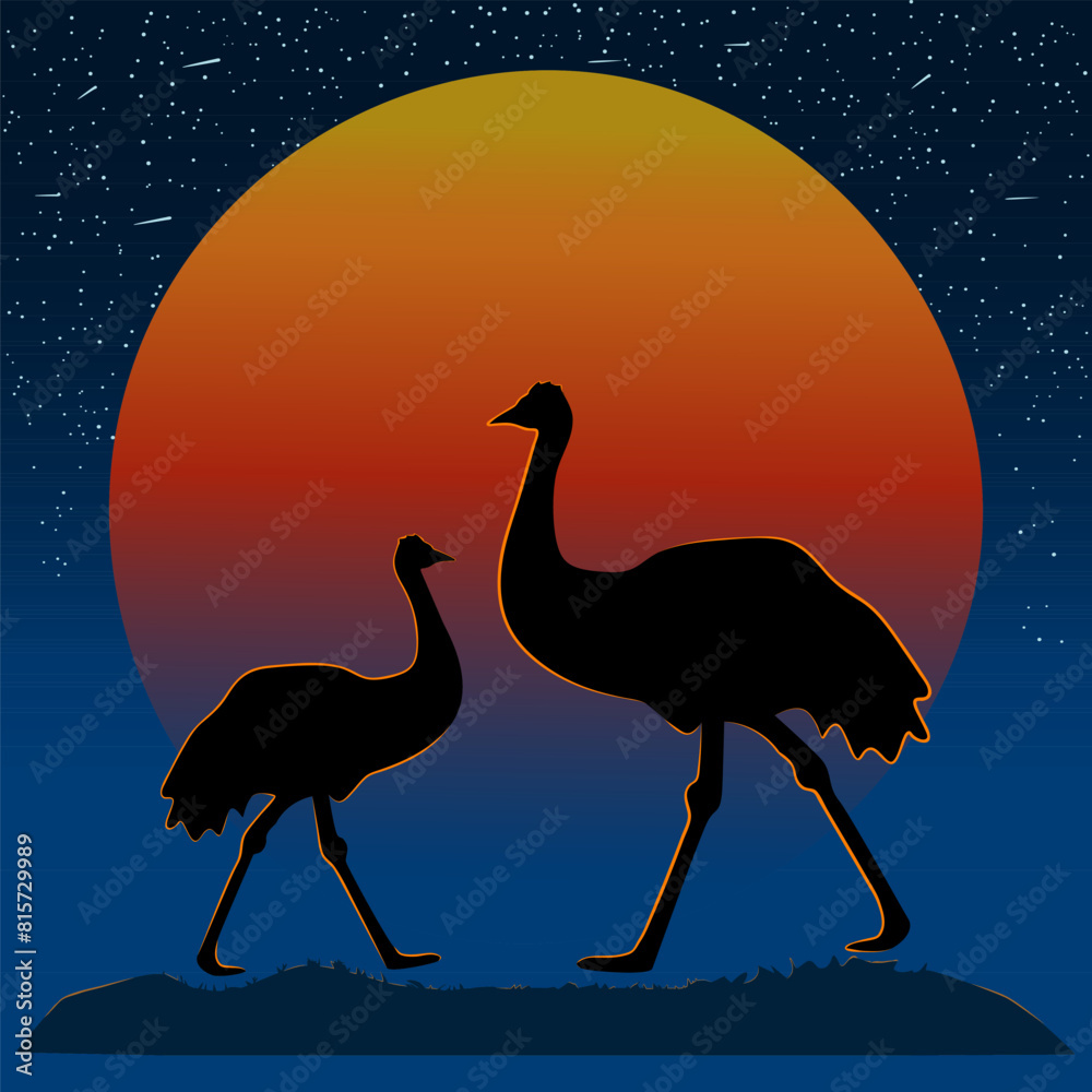 Emu silhouette at sunset background. Sundown in Australia with stars ...