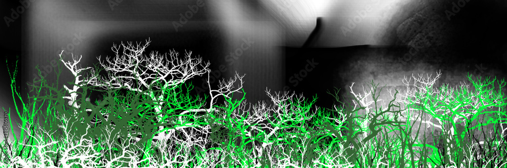 dark dramatic sky background for scary or death. Halloween night ...