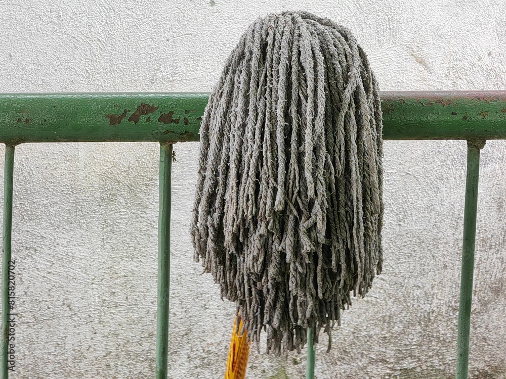 Abstract Beauty. Exploring the Intricacies of a Gray Broom's Hair ...
