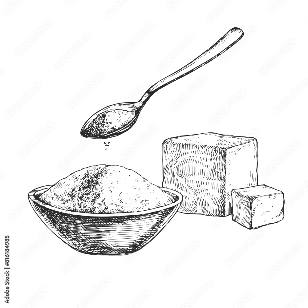 Vector hand-drawn illustration of yeast of different types. A sketch ...
