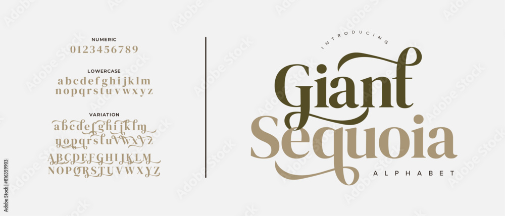 Vetor de Giant elegant font alphabet uppercase lowercase and number ...