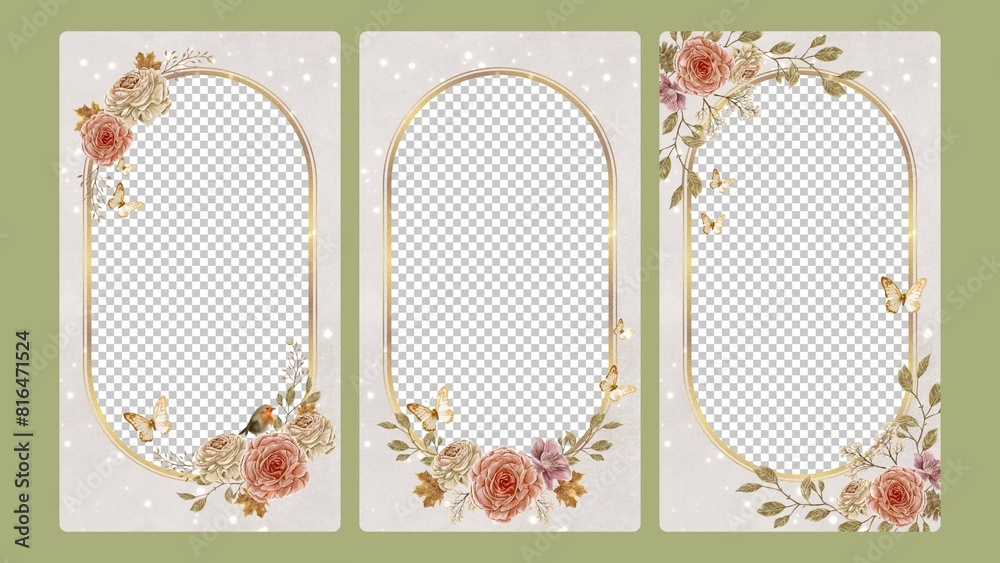 Elegant Frame Overlay Video Template Stock Template | Adobe Stock