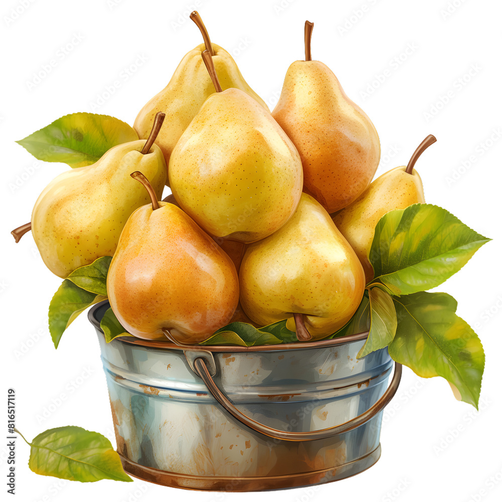 Pears in a metal bucket, PNG image, no background Stock Photo | Adobe Stock