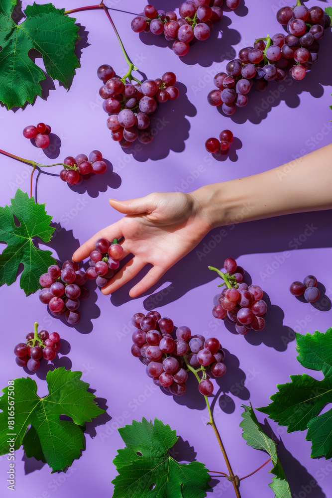 A hand reaching for grapes on purple background with leaves scattered ...