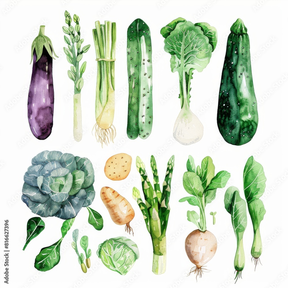 spring vegetables, Clipart set, watercolour texture, simple, plain ...