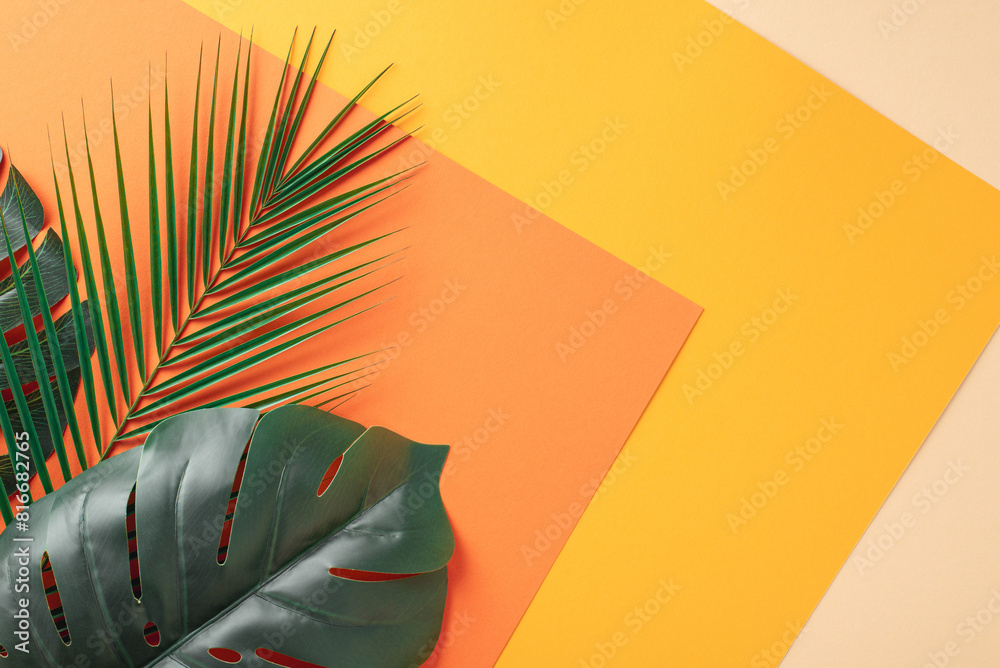 Vibrant split-tone background featuring green palm and dark monstera ...