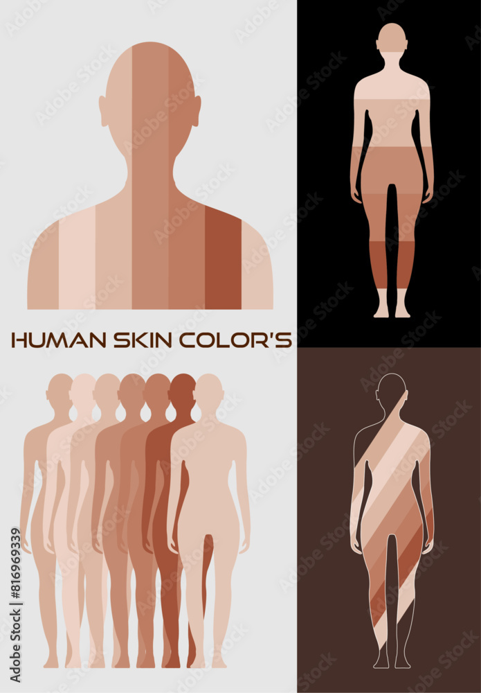 Vetor de Human skin color tones, range from the darkest brown to the ...