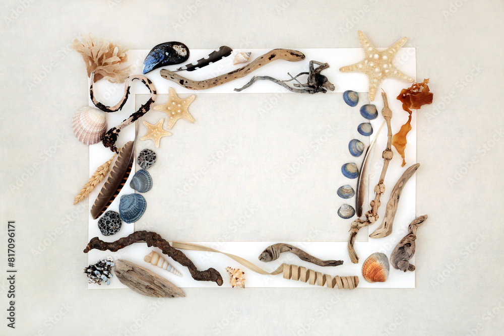 Natural objects of nature collection background border with driftwood ...