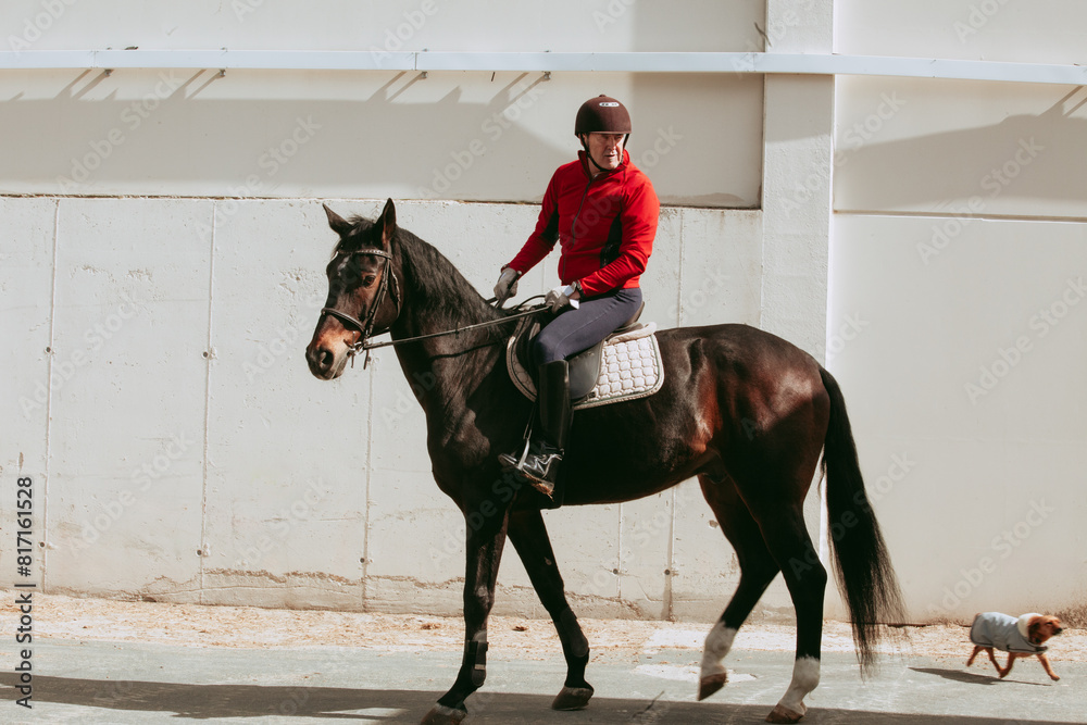 Relaxed rider looking back while riding horse at club, copy space ...