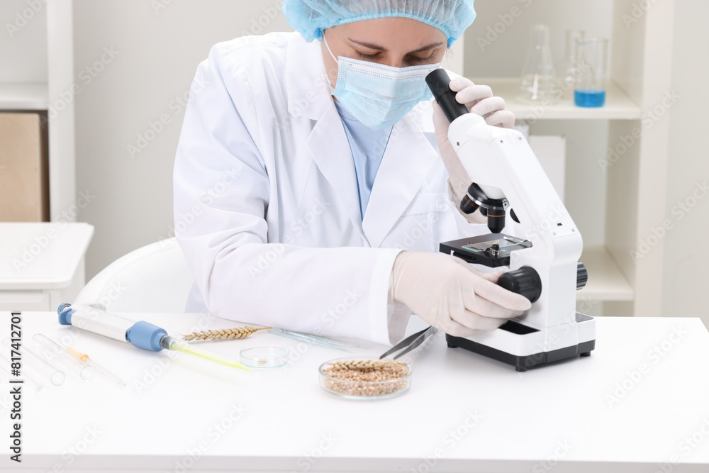 Quality control. Food inspector examining wheat grain under microscope ...