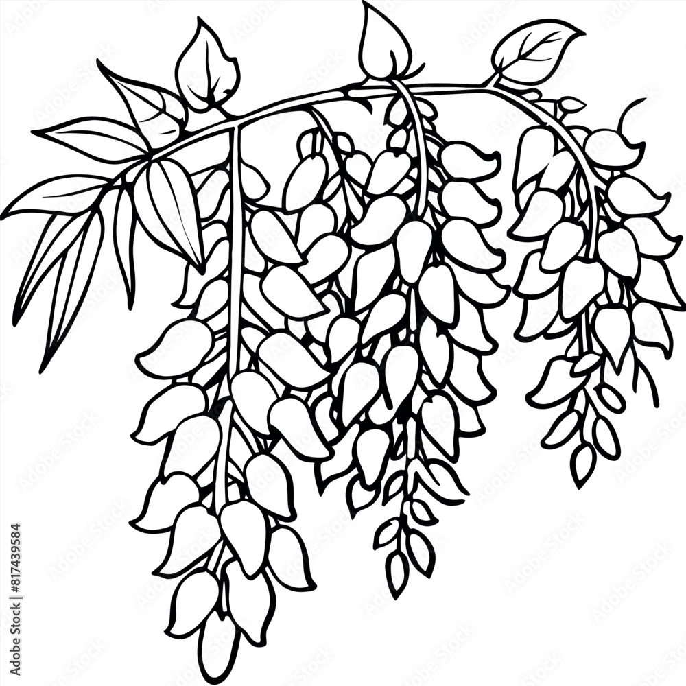 Wisteria Flower outline illustration coloring book page design ...