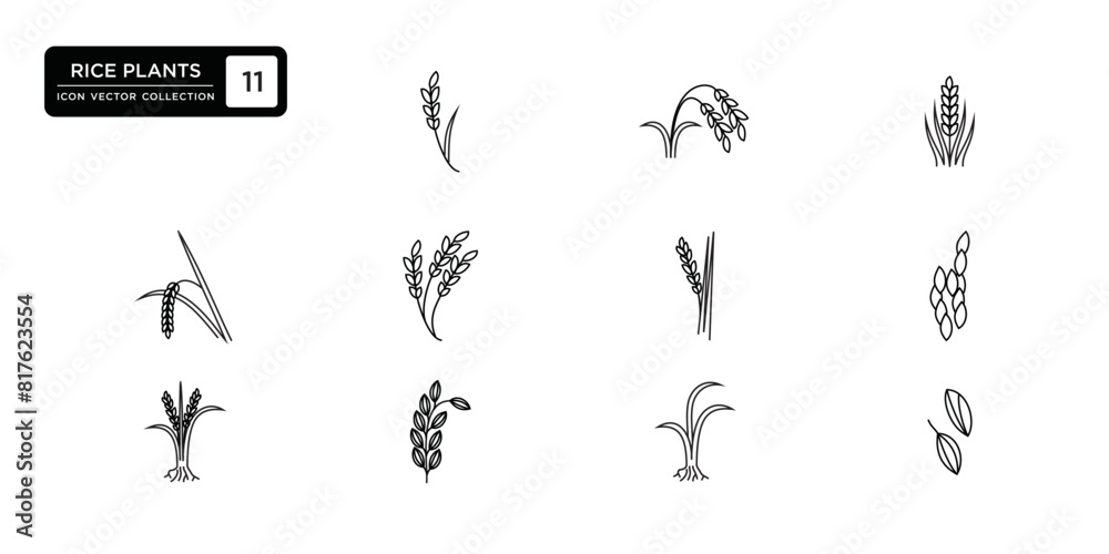 Rice plant icon collection, vector icon templates editable and ...