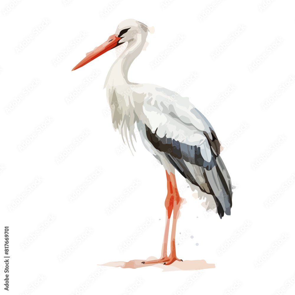 Watercolor vector of a stork, isolated on a white background, design ...