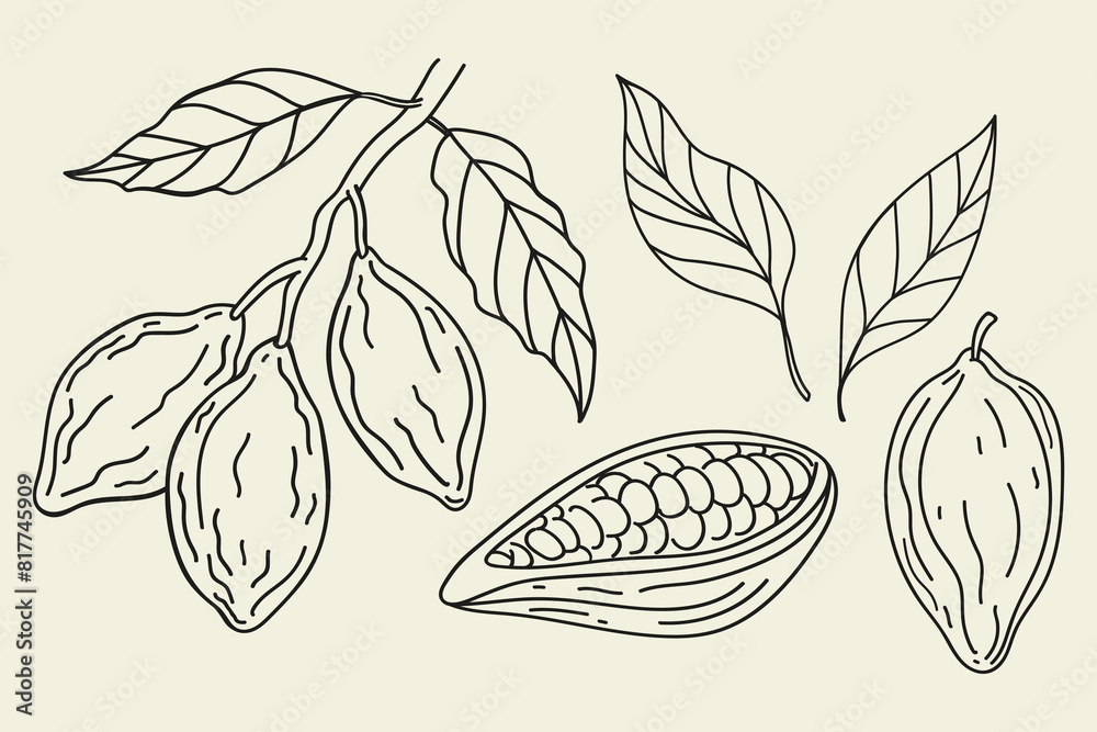 Cacao sketch doodle. Hand drawn line art cacao collection with beans ...