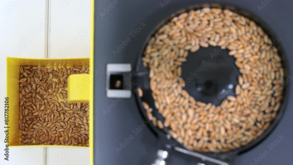 Close-up of Grains in Industrial Machine, Automatic selection and ...