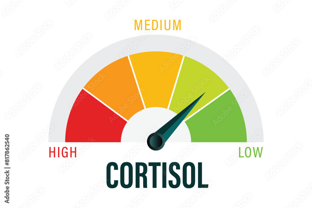 Cortisol Level Indicator with Visual Spectrum from Low to High, plan ...