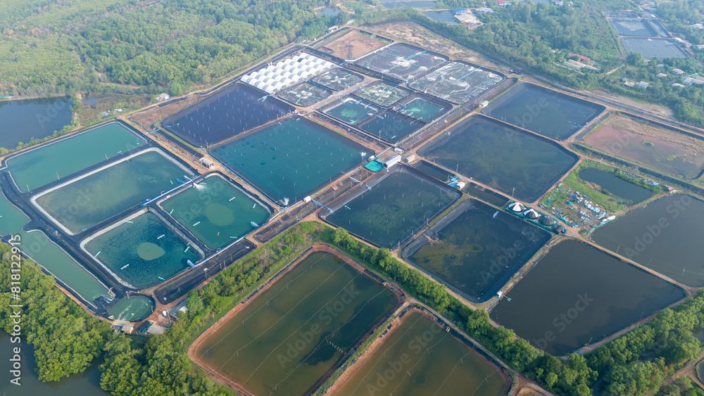 prawn farm with aerator pump in front. Business of raising animals for ...