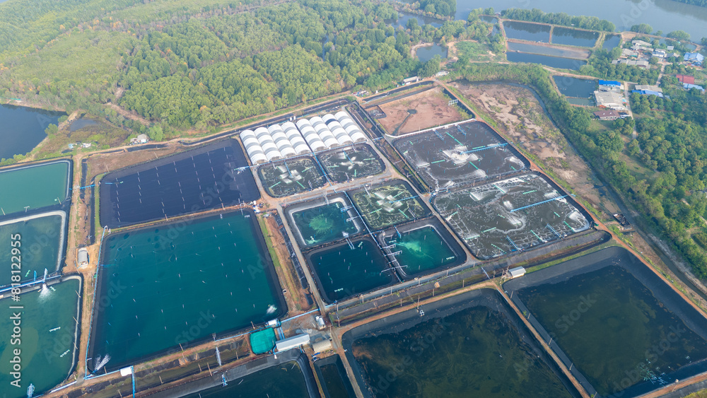 prawn farm with aerator pump in front. Business of raising animals for ...