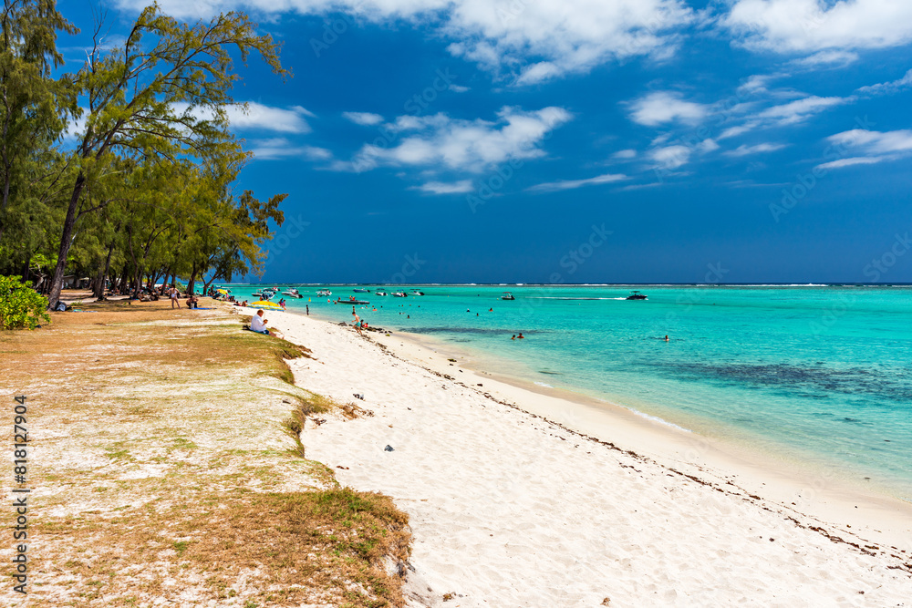 Palm trees on the tropical Le Morne beach, Mauritius. Tropical vacation ...