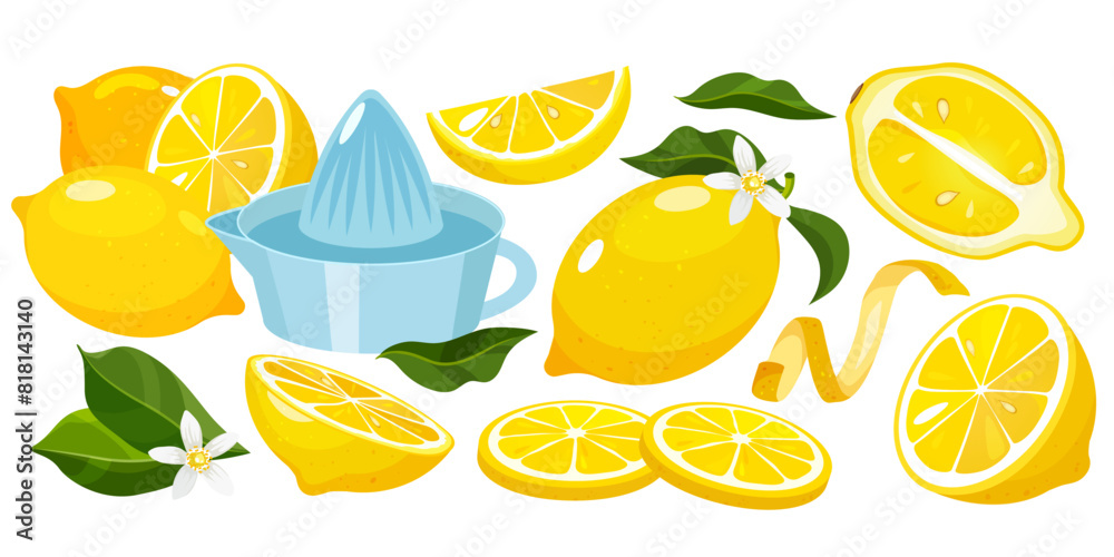 Vector cartoon set with fresh lemon fruits whole, half, slices, lemon ...