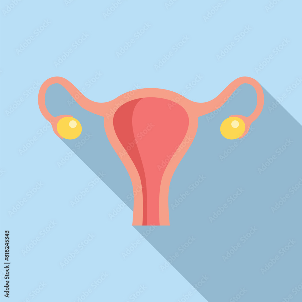 Illustration of the female reproductive system anatomy with uterus ...
