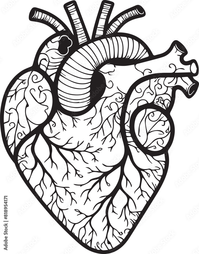 Human heart anatomically correct hand drawn line art and dotwork. Flash ...