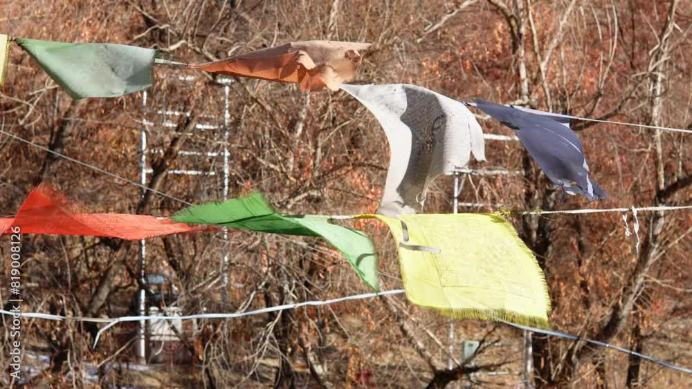 Buddhist Colorful Prayer Flags Flutter amid Leafless Trees in Spiti ... Buddhist Colorful Prayer Flags Flutter amid Leafless Trees in Spiti ...