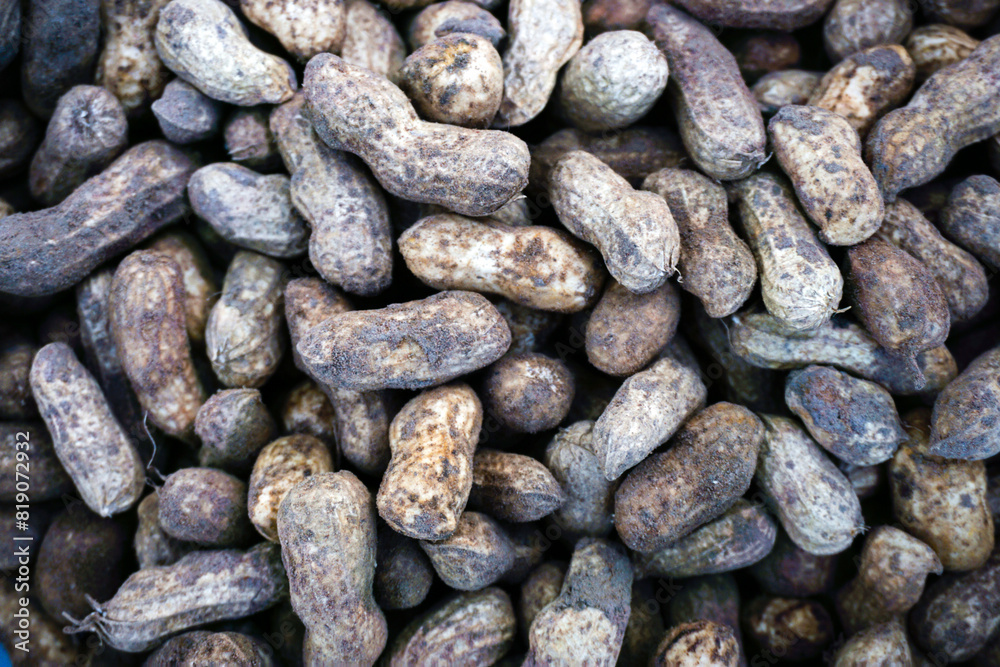 Raw peanuts before being processed must be washed first so that the ...