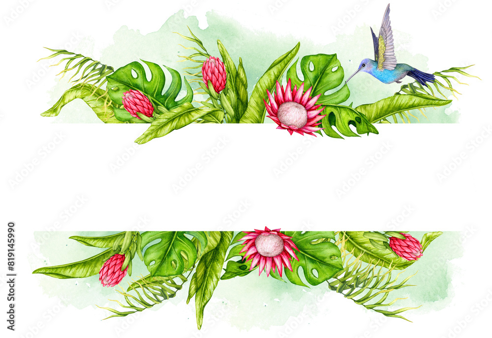Horizontal banner of tropical leaves, protea flowers and hummingbirds ...