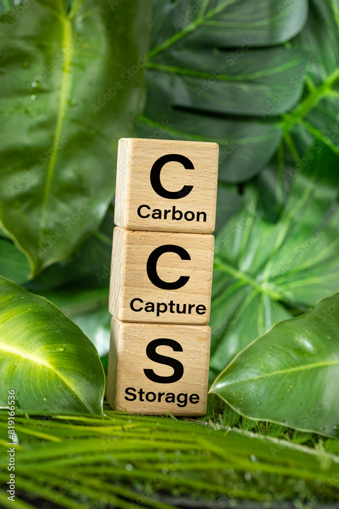 Carbon Capture and Storage CCS . Reducing carbon emissions, commitment ...