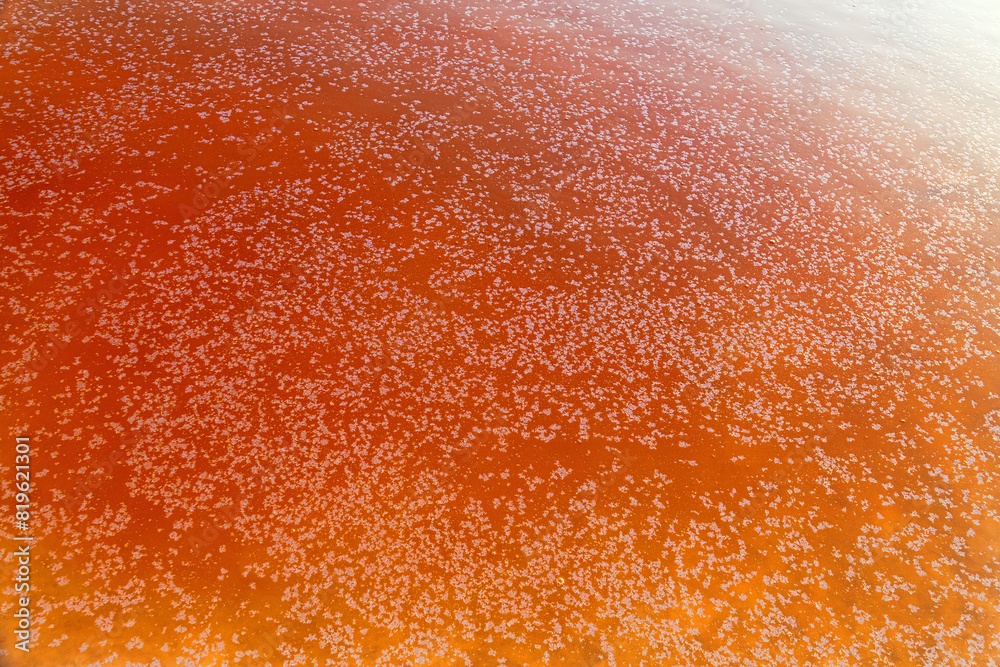 Mineralogy. Shore of hypersalted lake with deposition of salt crystals ...