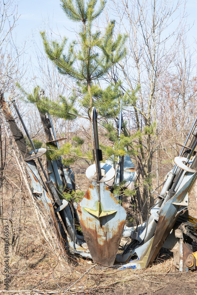 Tree transplanter heavy machine shovel with pine tree. Planting of tree ...