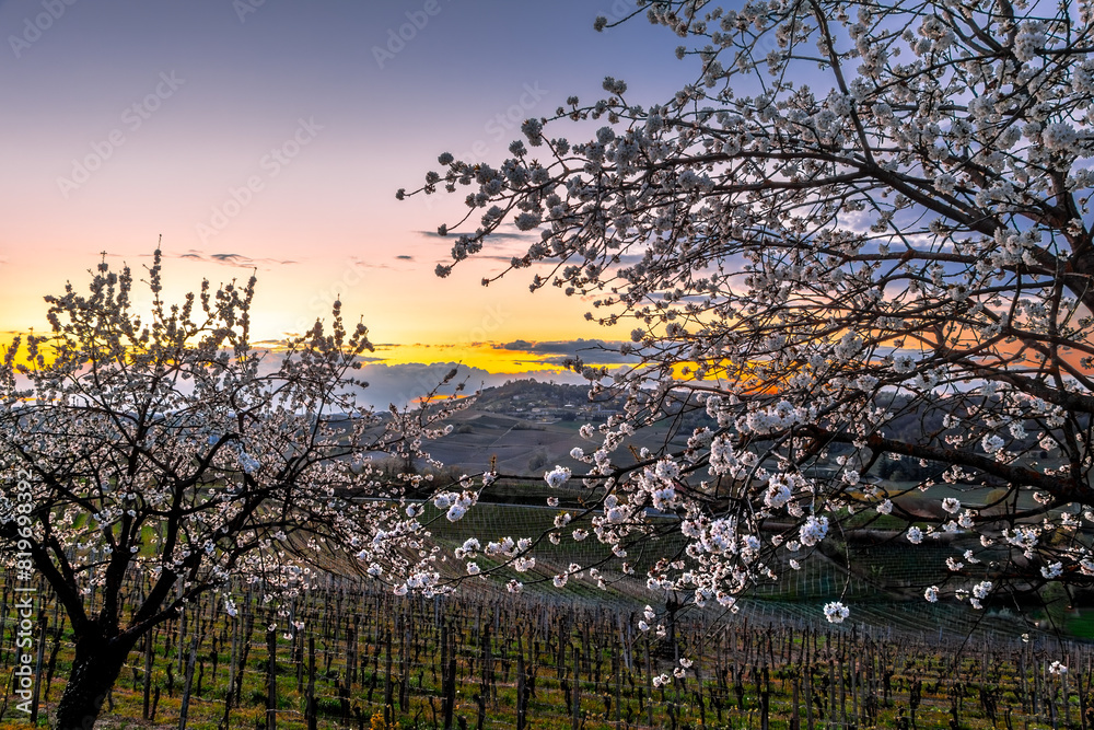 Tramonto sulla collina in primavera. Borgo collinare del Monferrato ...