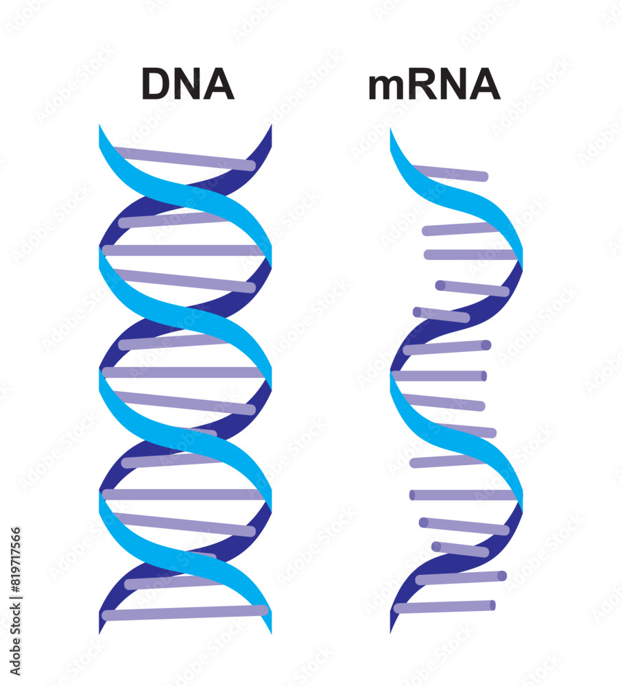 Biomarkers. DNA, mRNA, Proteins image. Structural chemical formula and ...