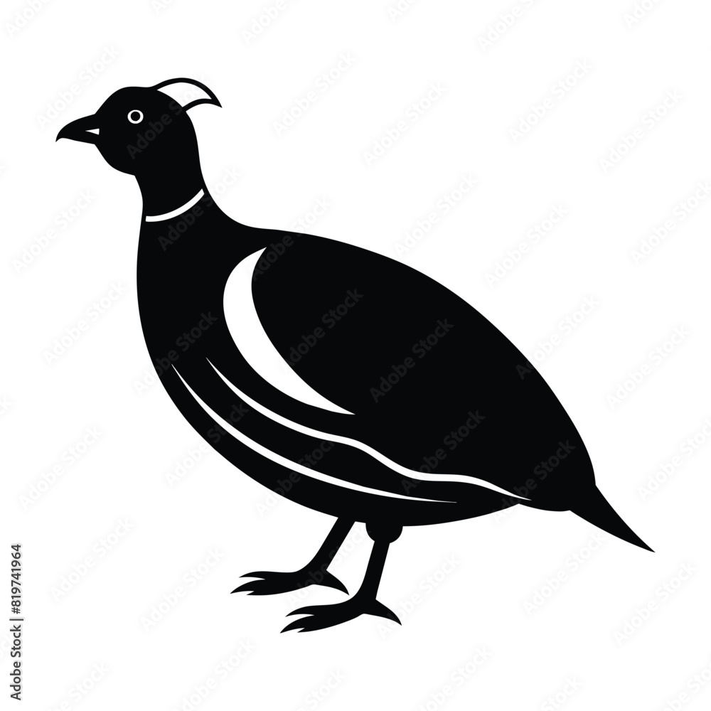 Quail silhouette, Quail Vector illustration, California quail ...